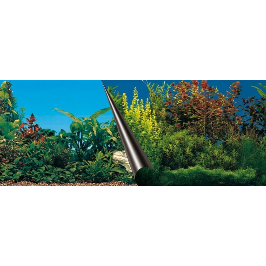Aqua Della POSTER BACKWALL BEAUTY & SEA 80x40cm for in terrariums and ...