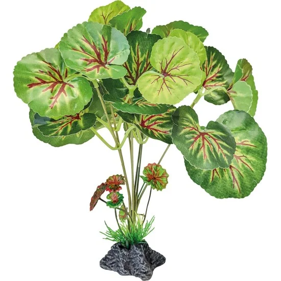 REPTO Plant with Round Leaves - Perfect for Terrariums