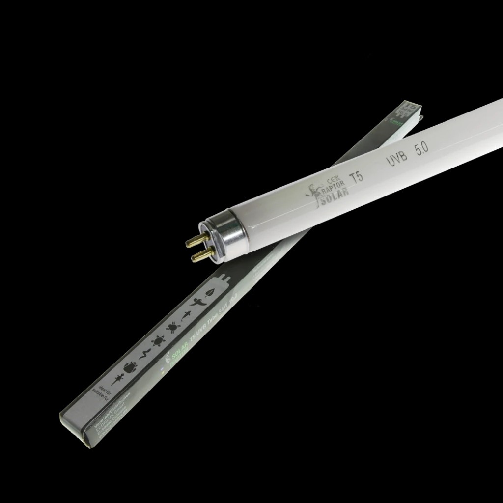 Solar Raptor T5 UVB Tubes 5.0 8W 30cm - 00010225