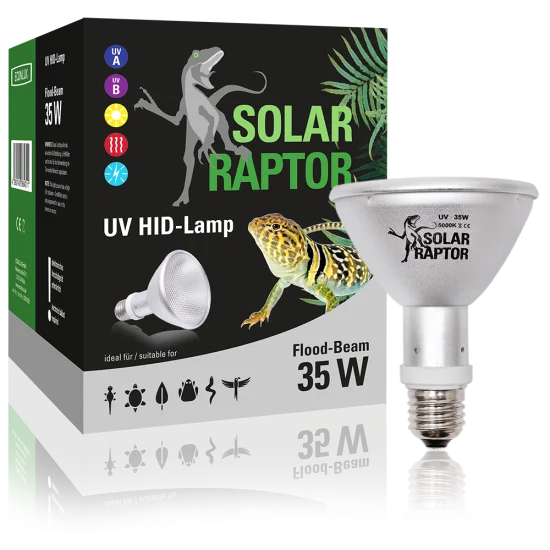 Solar Raptor UVB HID Lamp 35W Flood - ECO10008